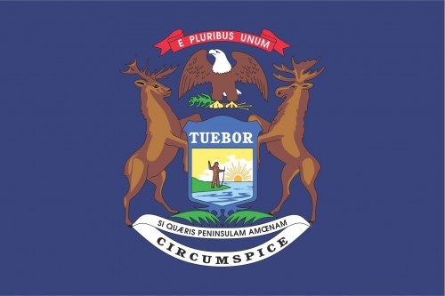 Michigan State Flag&Seal Download Vector