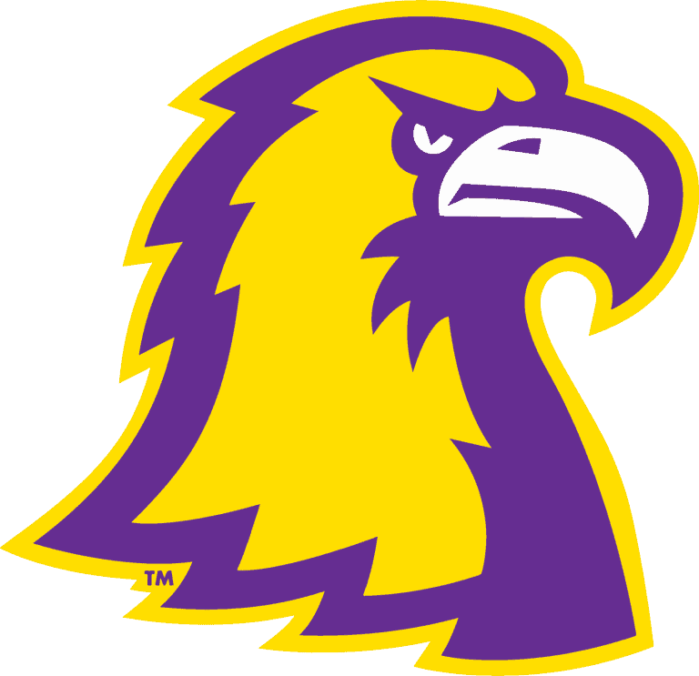 Tennessee Tech Golden Eagles Logo Download Vector